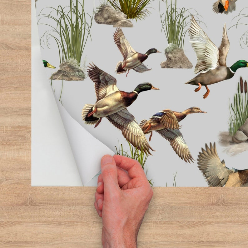 Duck Wallpaper Retro Wall Paper Peel & Stick Birds Wall - Etsy