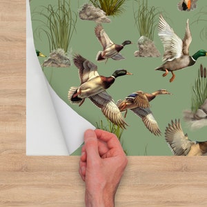 Green Retro Wallpaper, Duck Wall Paper Peel & Stick, Birds Wall Decal ...
