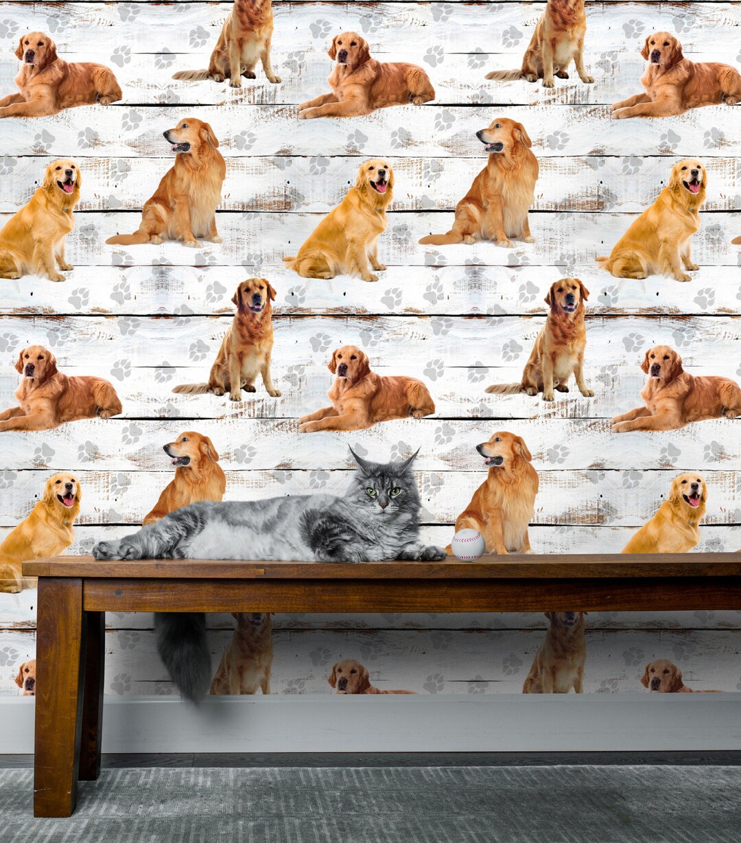 Cute Dog Wallpaper, Golden Retriever Wall Paper, Whitewashed Wood, Old ...