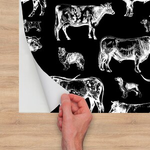 Dark Wall Paper With Cow, Farm Wall Decor, Ranch Wallpaper, Black ...