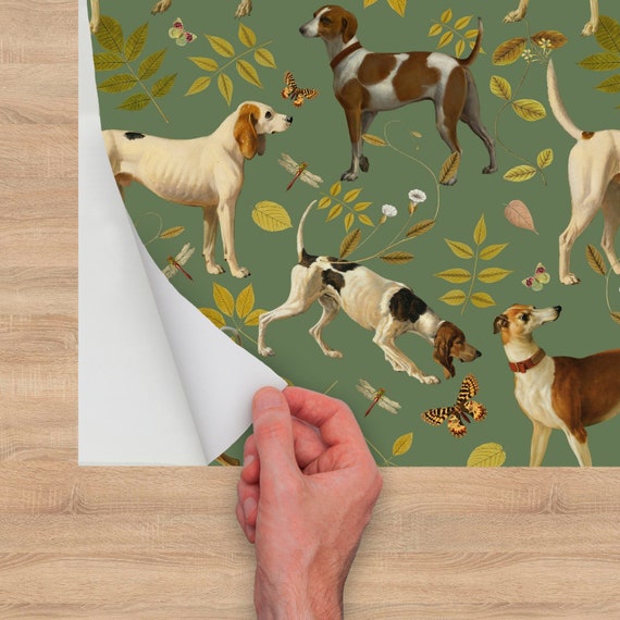 Rodeo Wallpaper Border