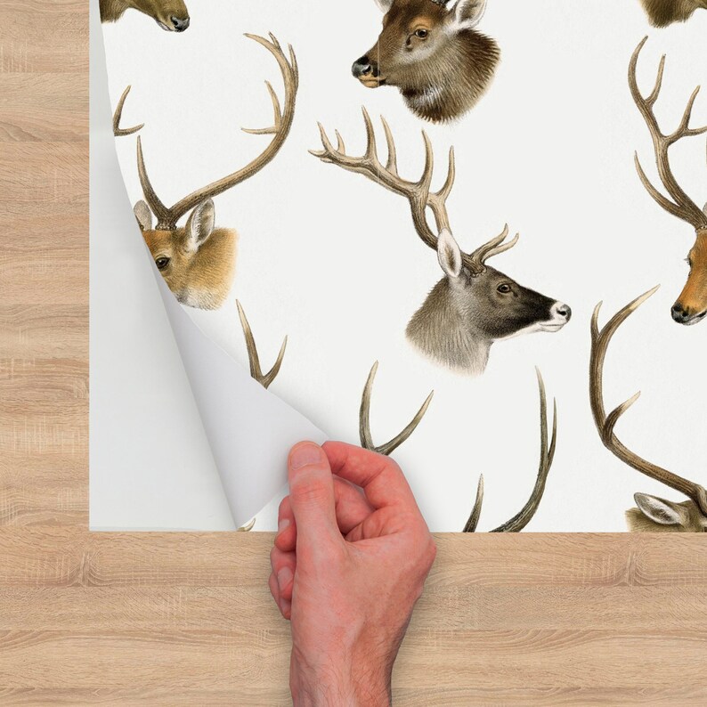 Deer Wallpaper Cottagecore Decor Cabin Wall Décor Retro - Etsy