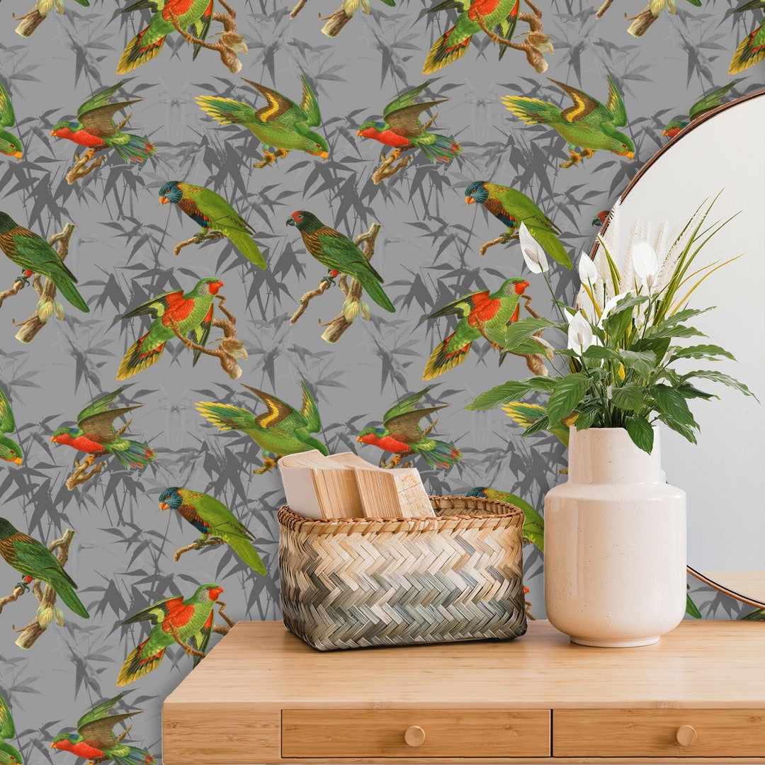 Parrot Wallpaper Birds Wall Paper Peel & Stick Tropical Wall - Etsy