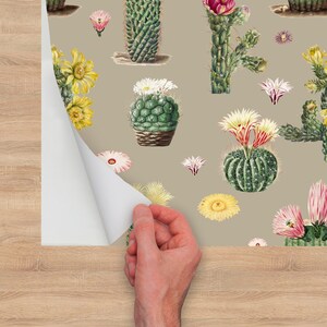 Cactus Wallpaper, Southwest Wallpaper, Floral Wall Decal, Southwestern ...
