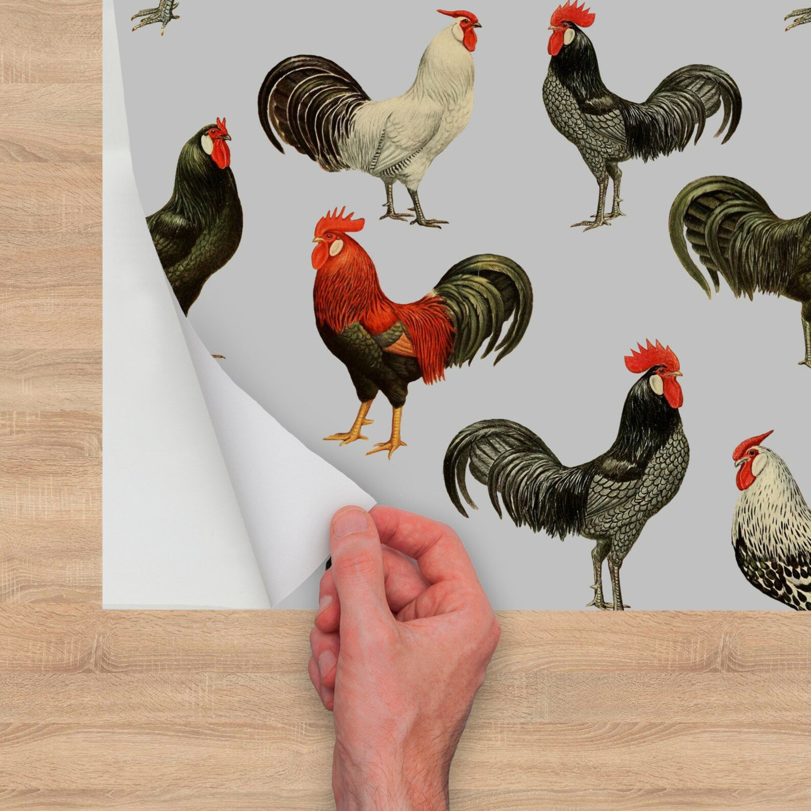 Rooster Decal, off White Wallpaper, Removable Farmhouse Wall Paper ...