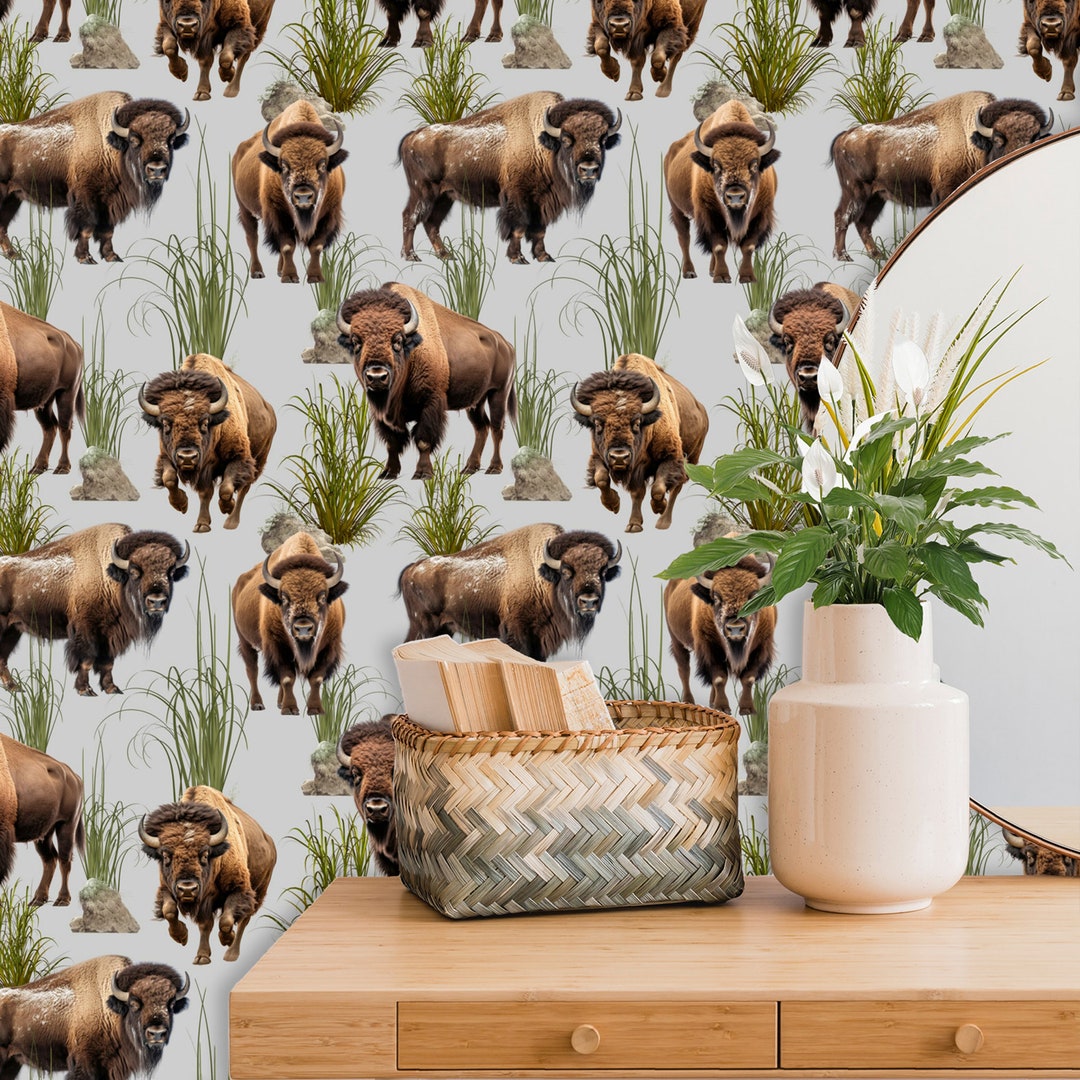 American Bison Wallpaper, Southwestern Wall Paper Peel and Stick, Wild ...