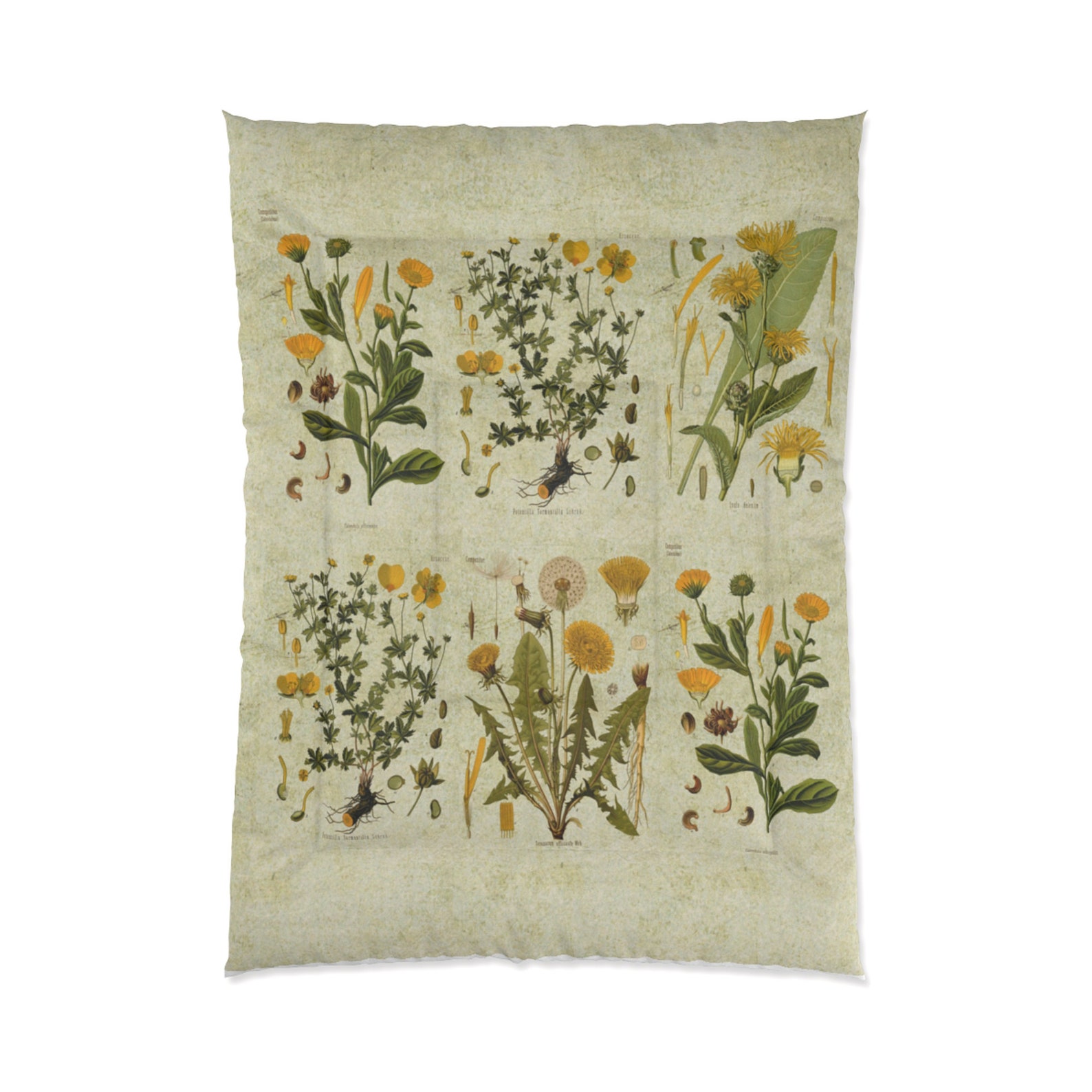 Botanical Bedding Set With Pillow Shams, Comforter Queen, King, Twin ...