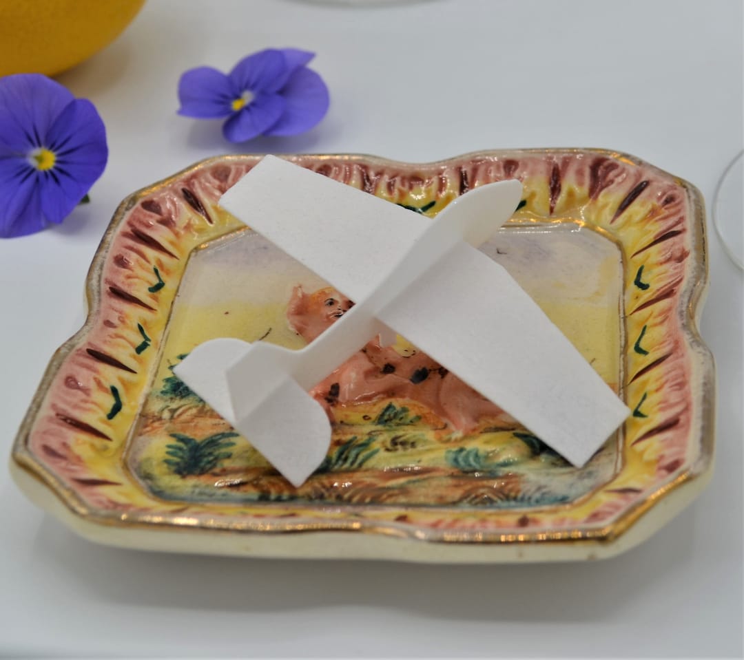 Edible 3D Airplane Cocktail Garnish Set of 14 Really Cute for Aviation ...