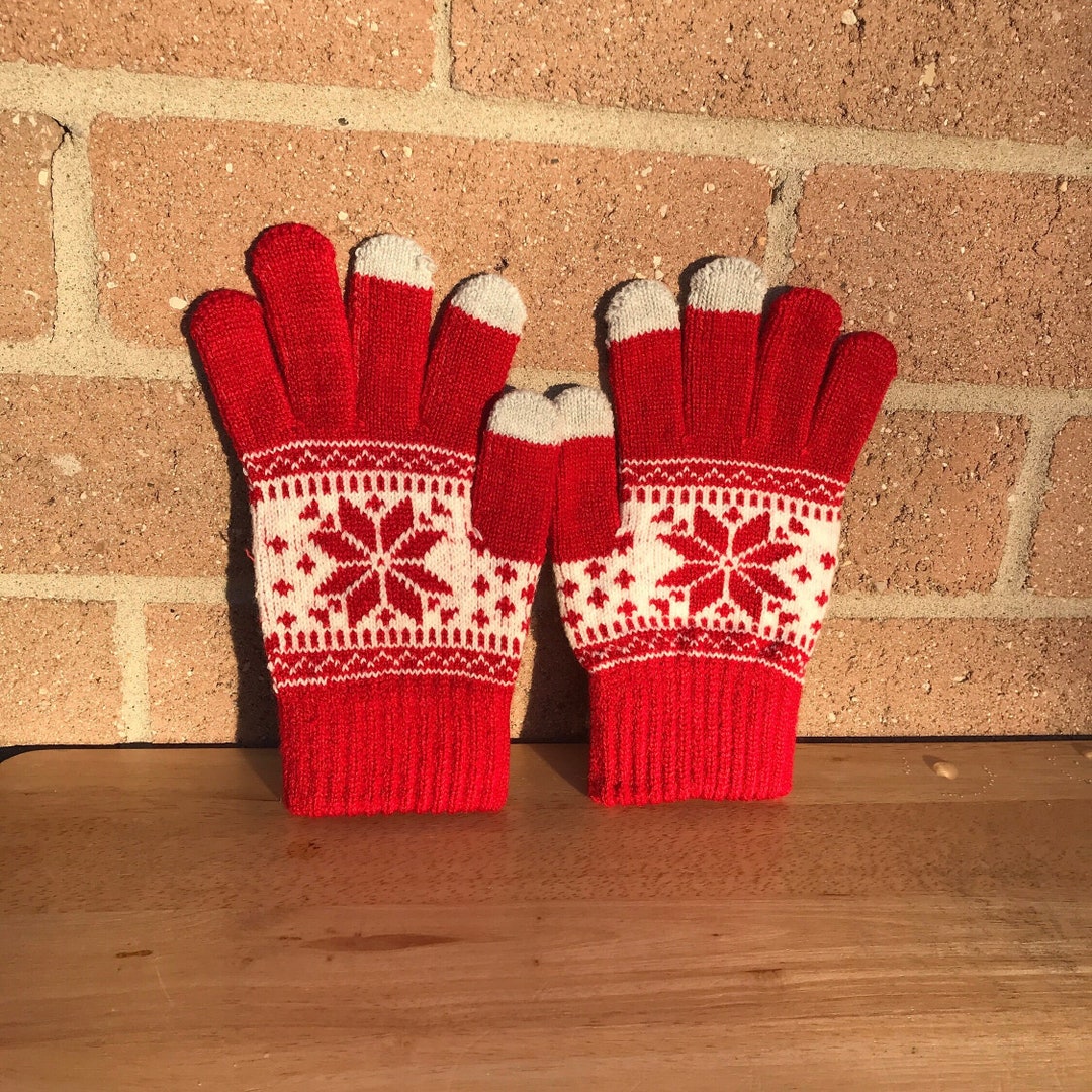 Thick Heat Storage Fiber Plus Velvet Winter Gloves for Women. Touch ...