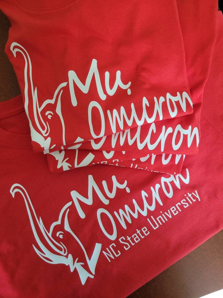 DST Homecoming Probate Shirt Deltaversary | Etsy