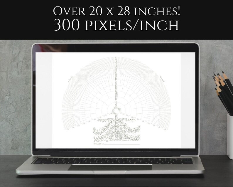 Blank 10 Generation Family Tree Fan Chart in Sage Green and White ...