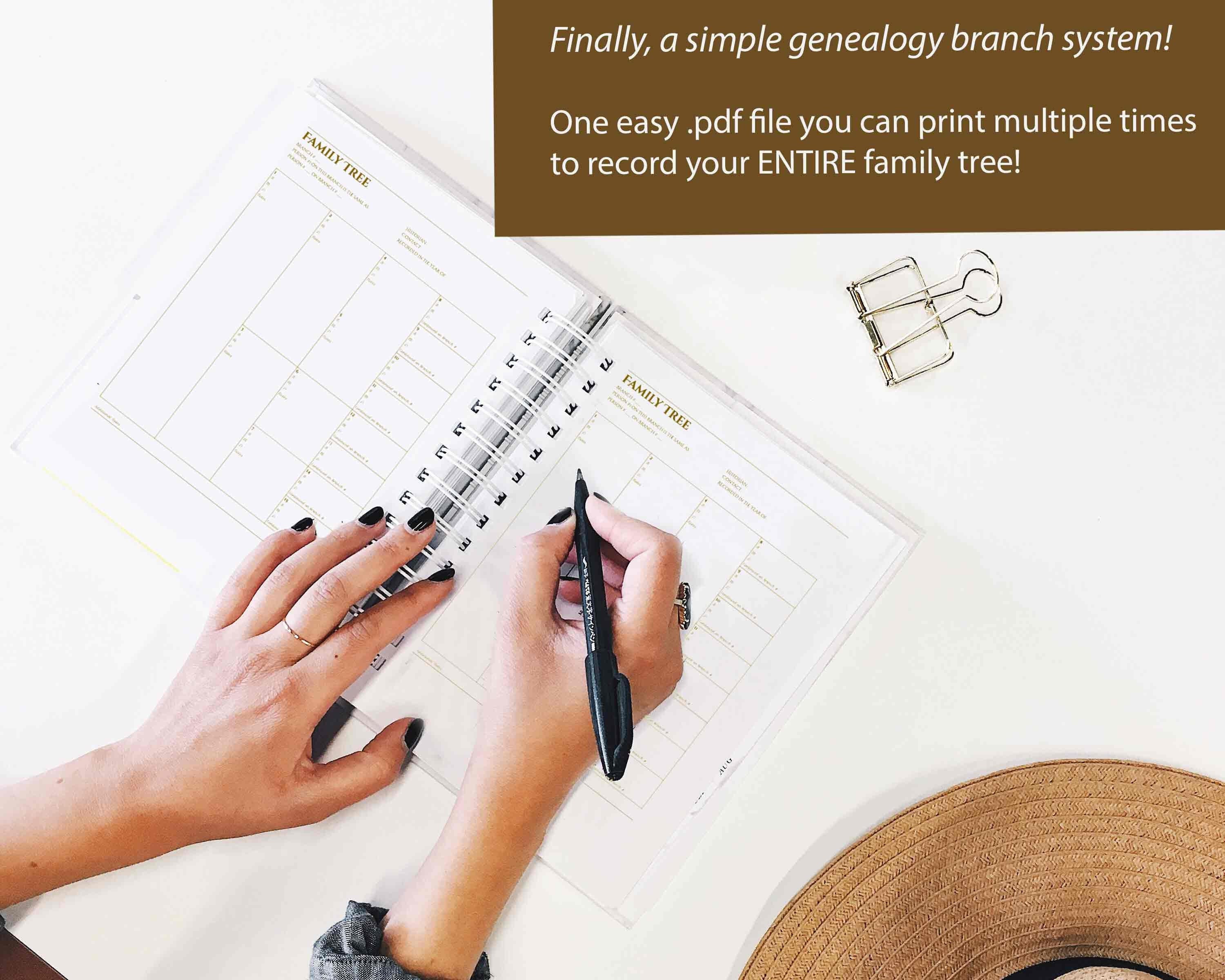 4 GENERATION Family Tree Chart, Simple Genealogy Branch System ...