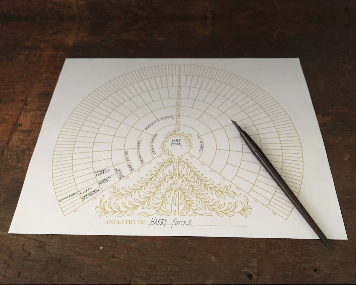 Blank 8 Generation Family Tree Fan Chart - Etsy