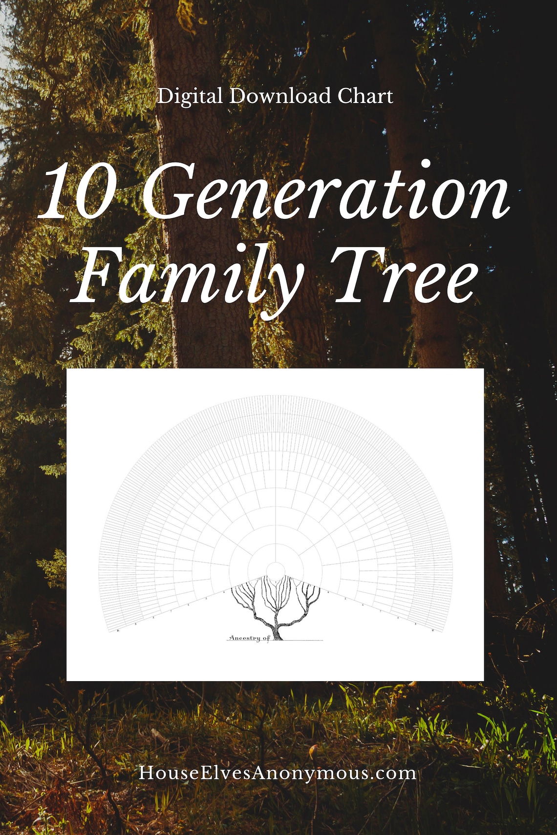 Family Tree Fan Chart for 10 Generations With Branches Vintage Green ...