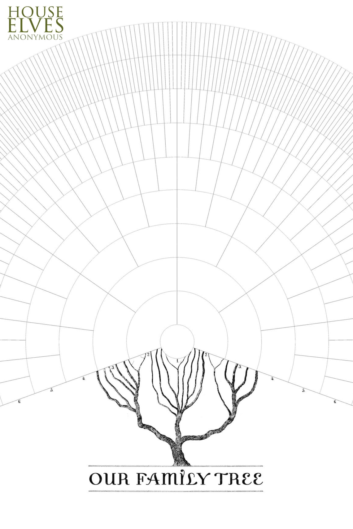 Family Tree Fan Chart for 10 Generations With Branches Vintage Green ...