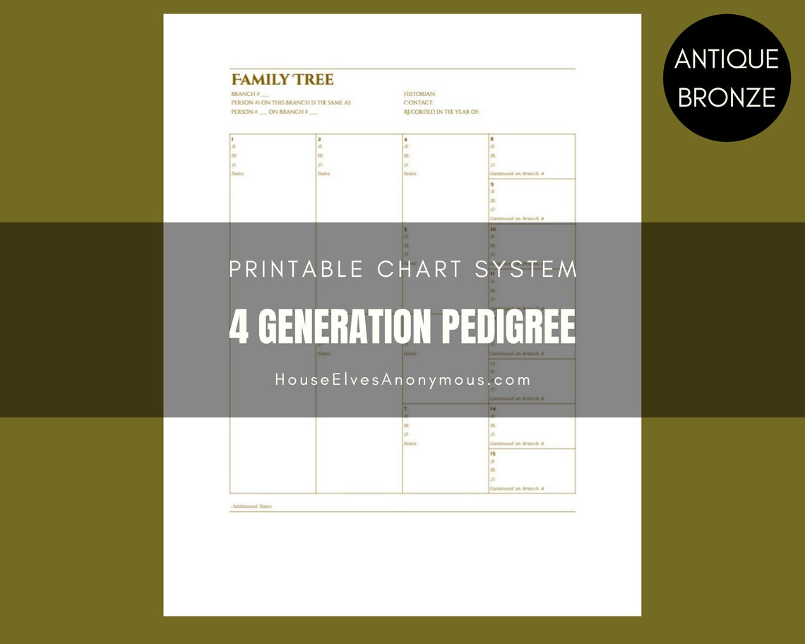 4 GENERATION Family Tree Chart Simple Genealogy Branch System | Etsy
