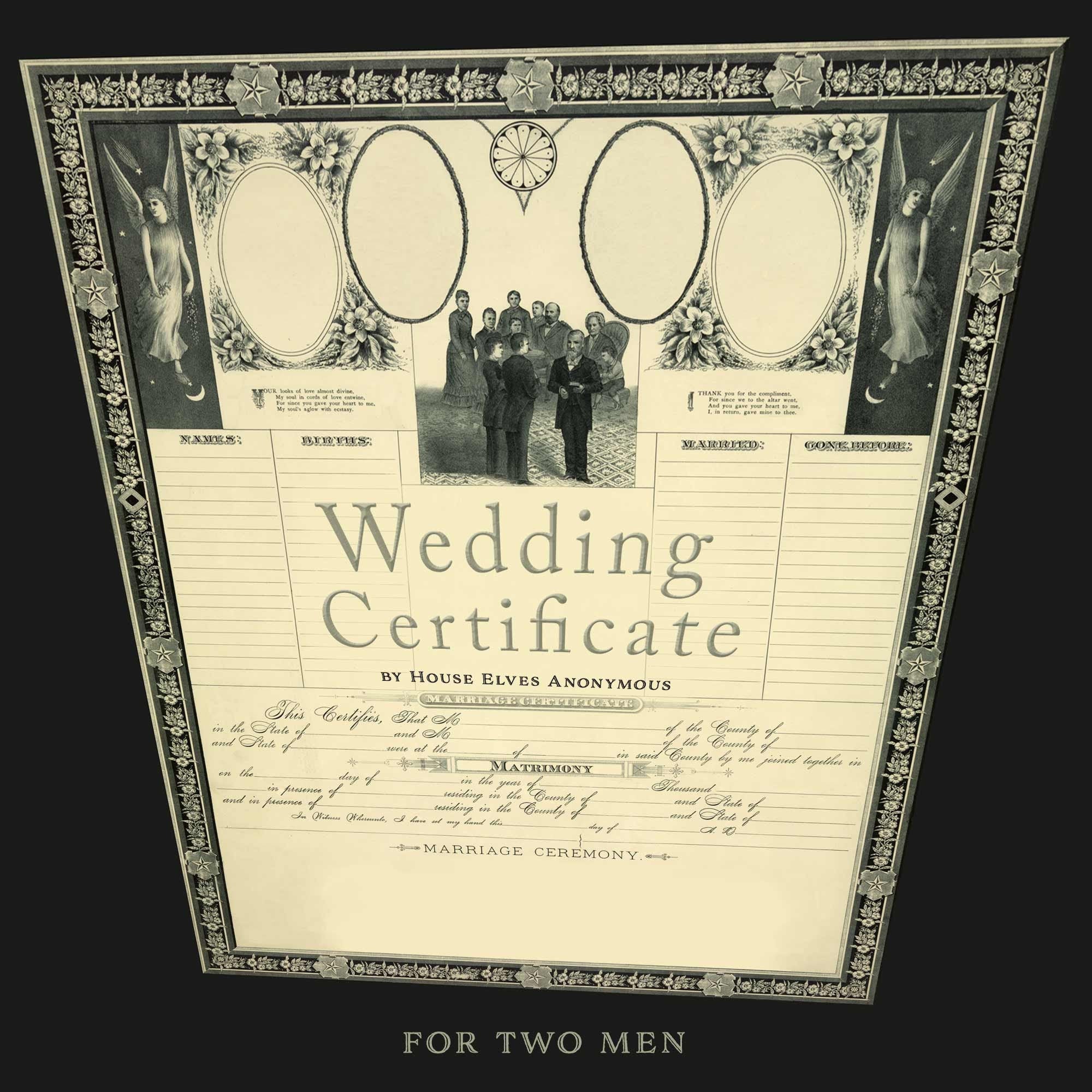 Gay Marriage Certificate for Two Men Love or Two People Wearing Suits ...