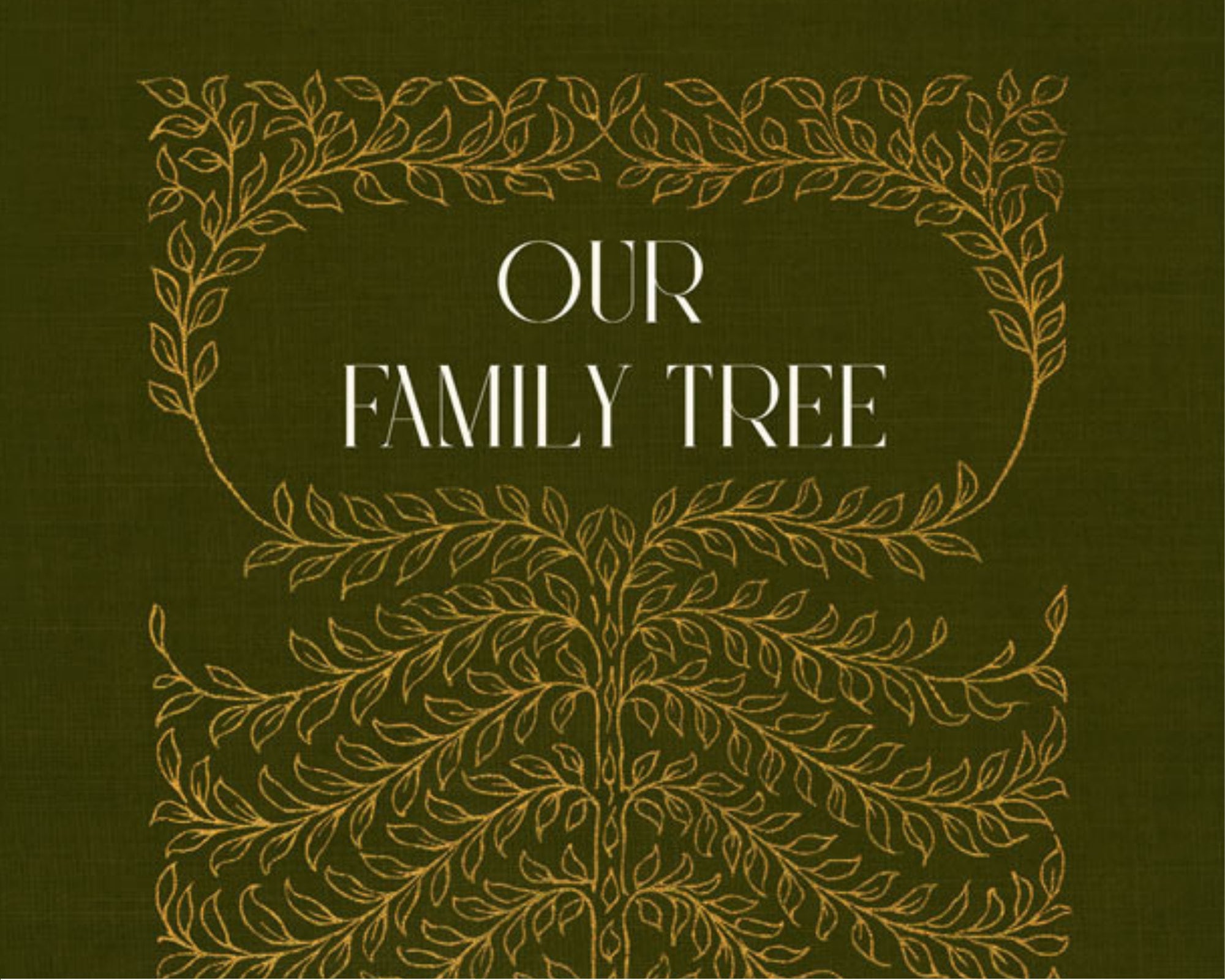 Family Tree Book 235pg Paperback Genealogy Index Notebook for 12 ...