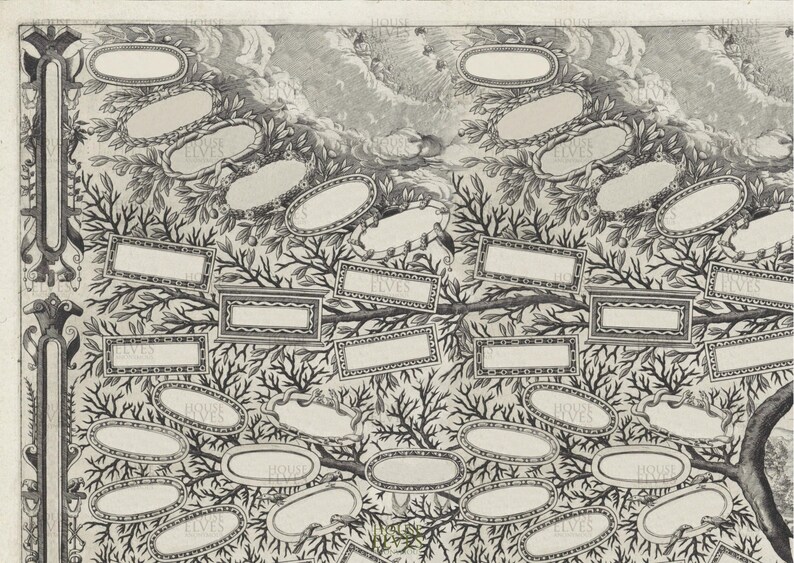 Freeform Family Tree for 143 People up to 7 Generations of - Etsy