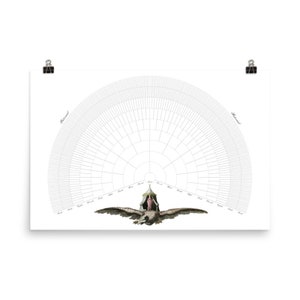 Griffin Family Tree Chart Printable for 10 Generations at 300 Dpi and ...