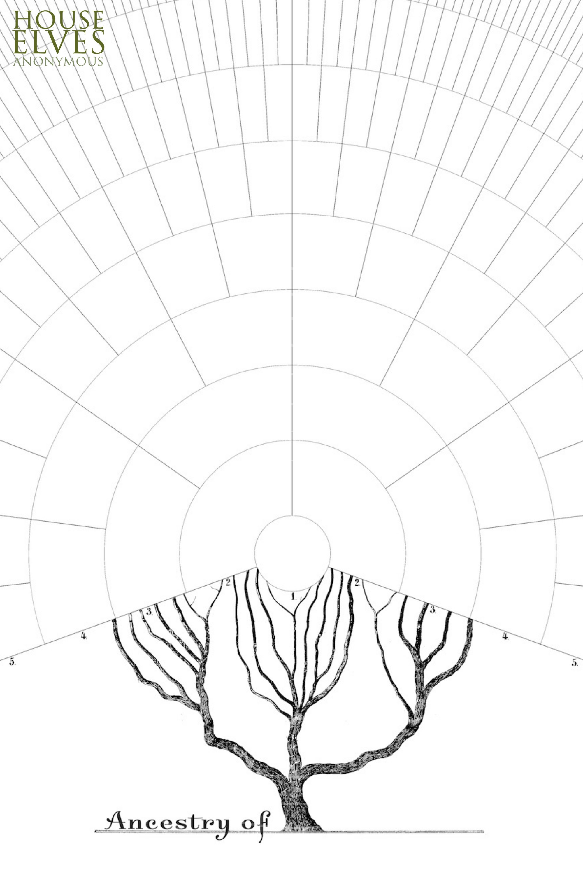 Family Tree Fan Chart for 10 Generations With Branches Vintage Green ...