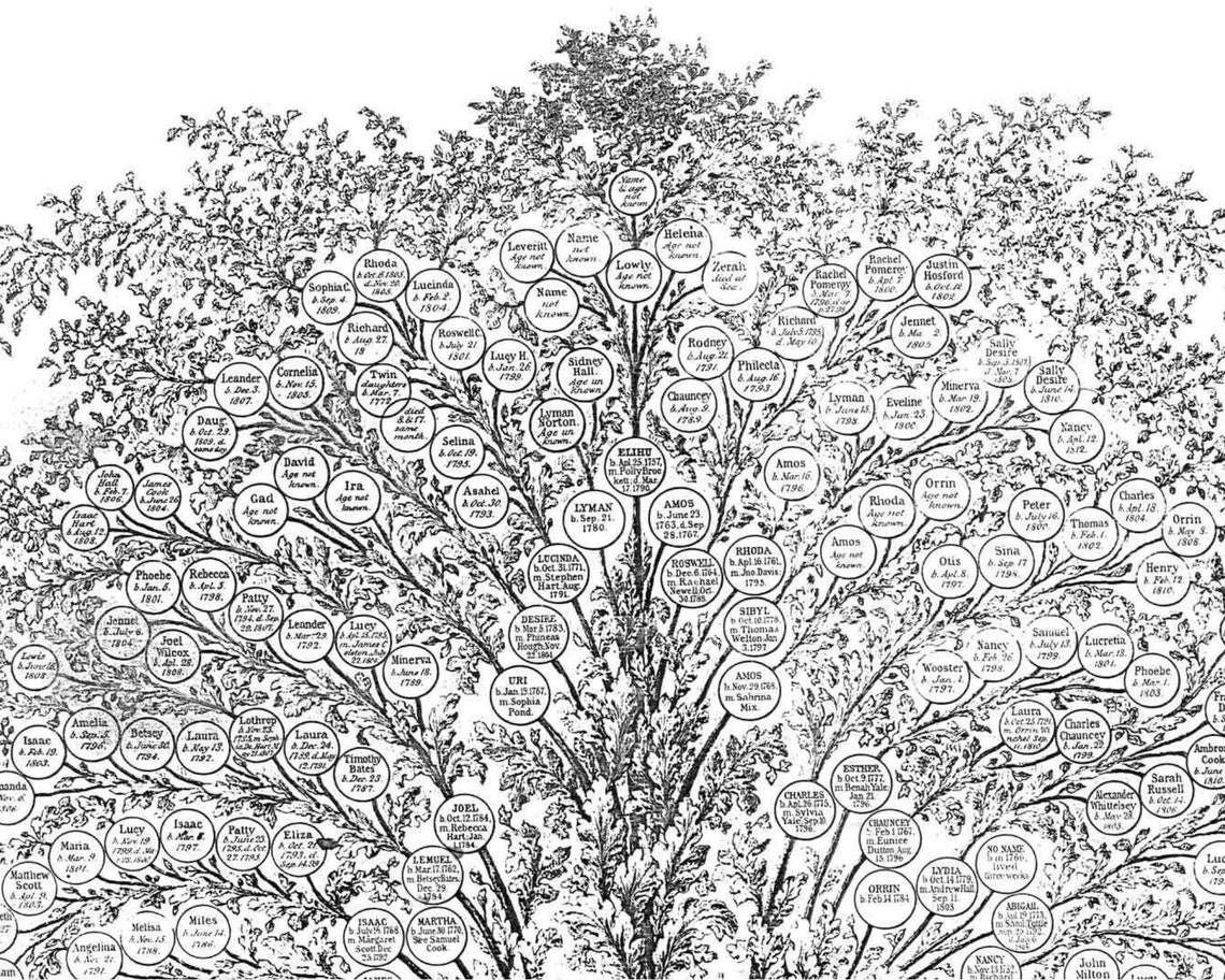 Family Tree Chart Poster FREEFORM for Nontraditional Family Groups ...