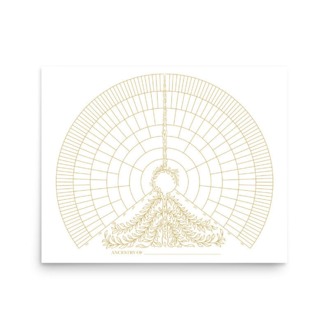 Blank 8 Generation Family Tree Fan Chart - Etsy
