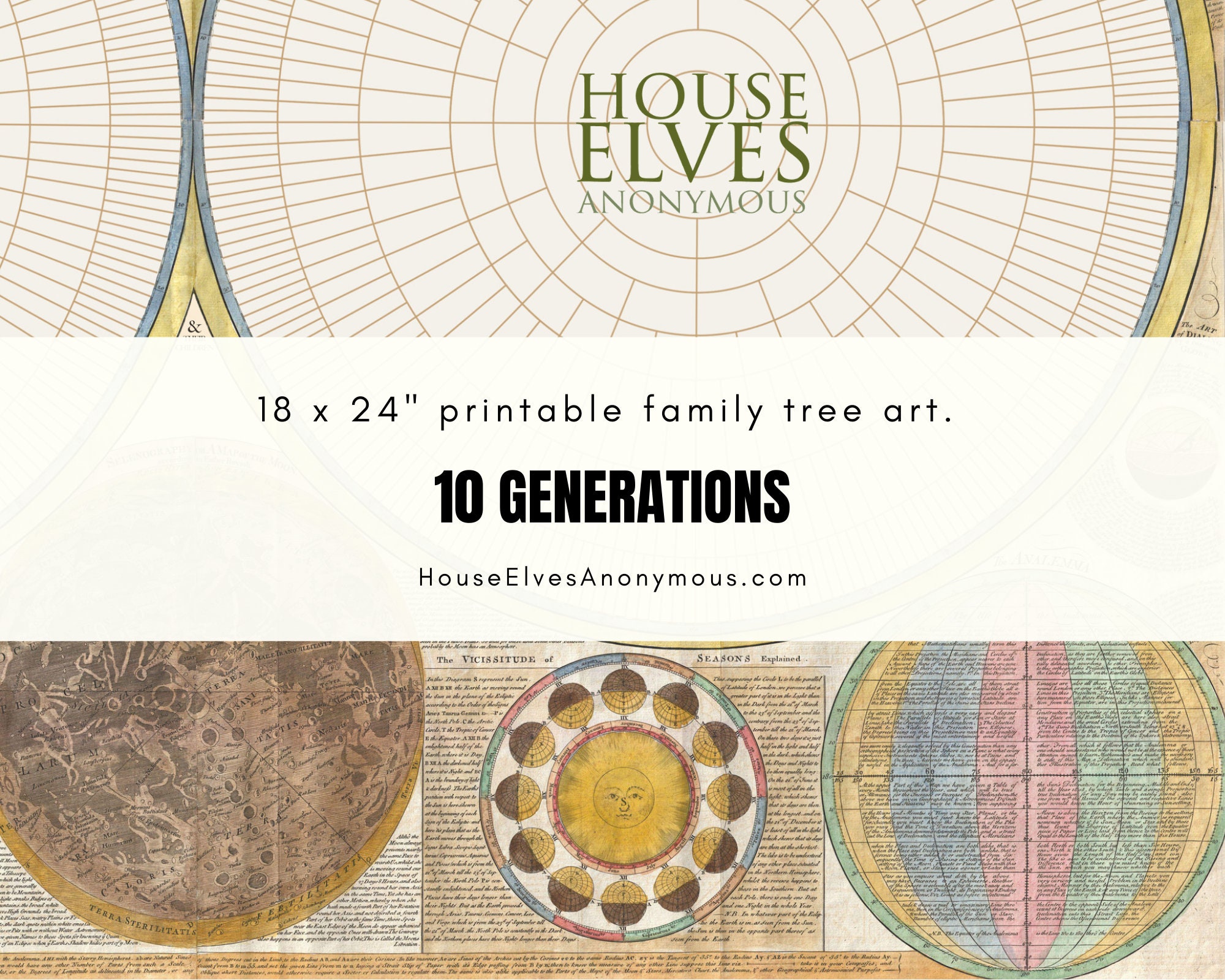 High-resolution DIGITAL DOWNLOAD Family Tree Template for 10 ...