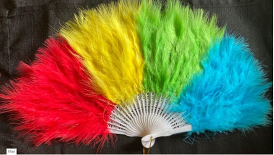 Rainbow Feather Fan - Etsy