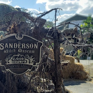 Sanderson Witch Museum Hocus Pocus Wood Carved Sign - Etsy