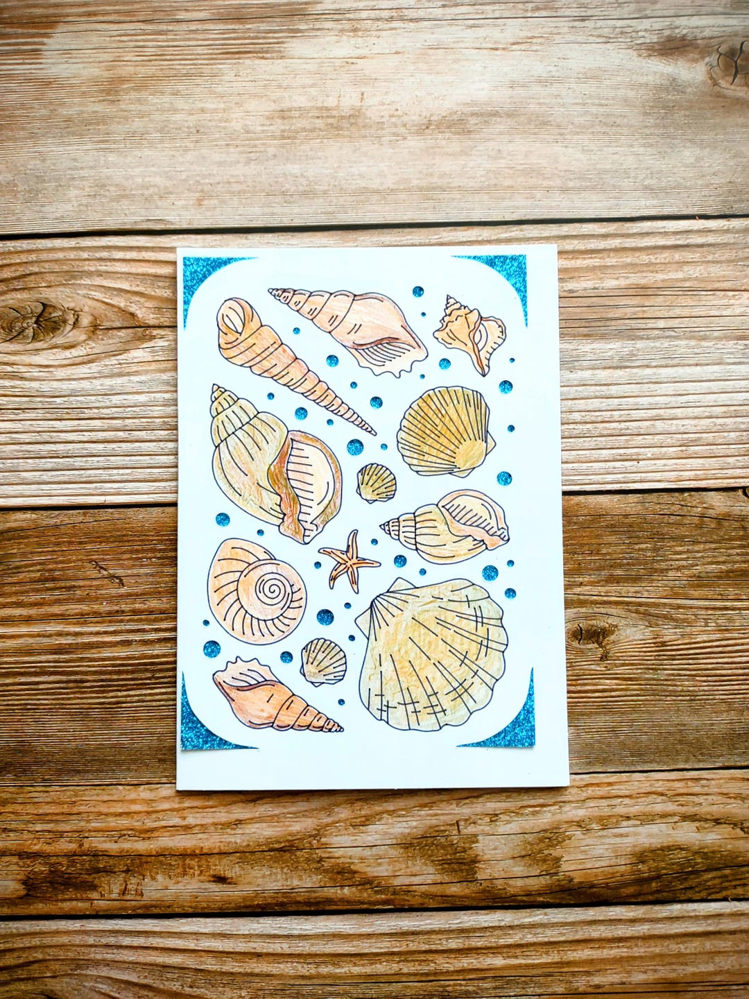 Sea Shell Blank Card - Etsy
