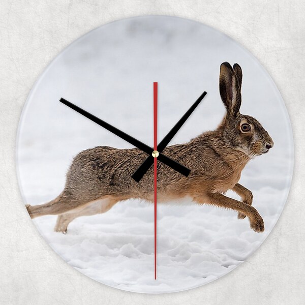 Animals Clock - Etsy UK