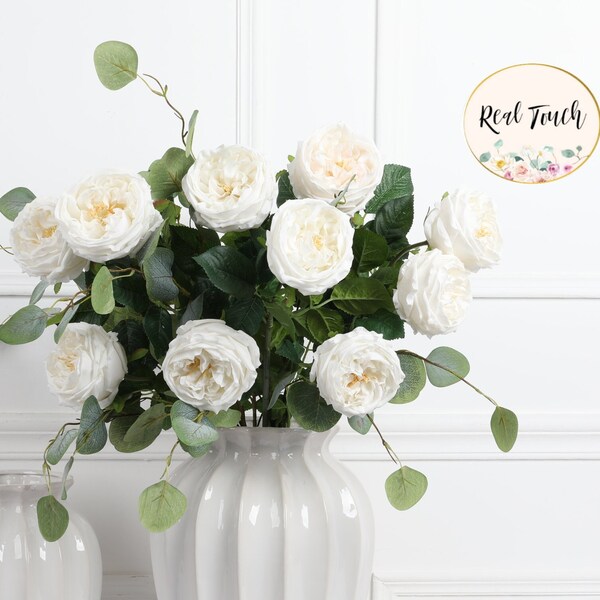 White Cabbage Rose - Etsy