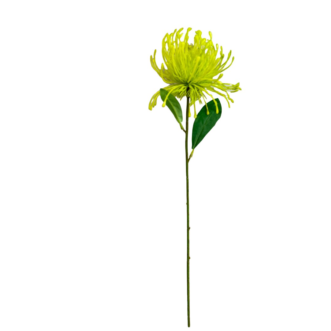 Pack of 6 Artificial Needle Spider Mum Green - Etsy