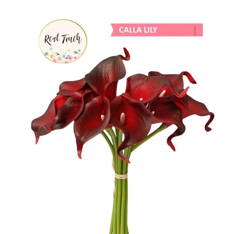 Red Calla Lily - Etsy