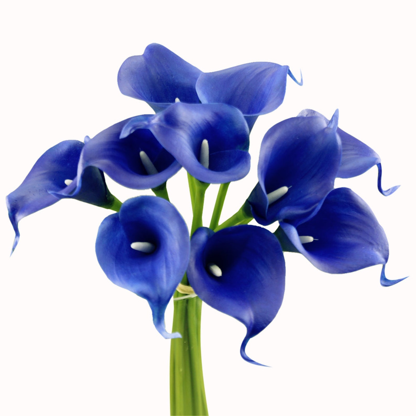 Gausa-soft Real Touch Calla Lily Blue Theme-home Decor Event - Etsy