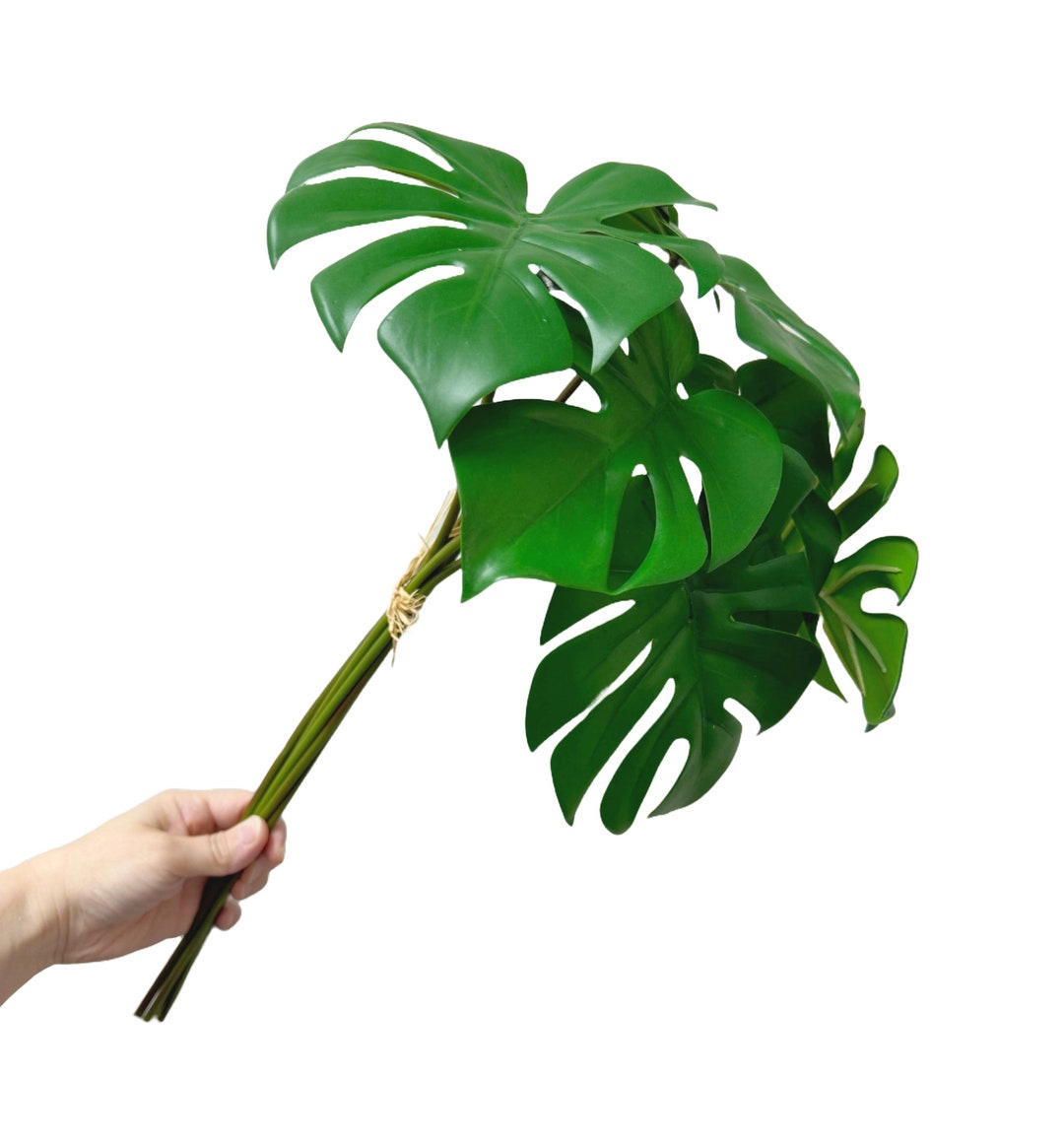 Set of 6-lush Green Real Touch Monstera Stem Flexible Lifelike Stem ...