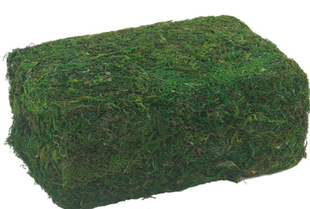 10oz Bagged-natural Lifelike Green Moss large Bag for Bulk Centerpiece ...