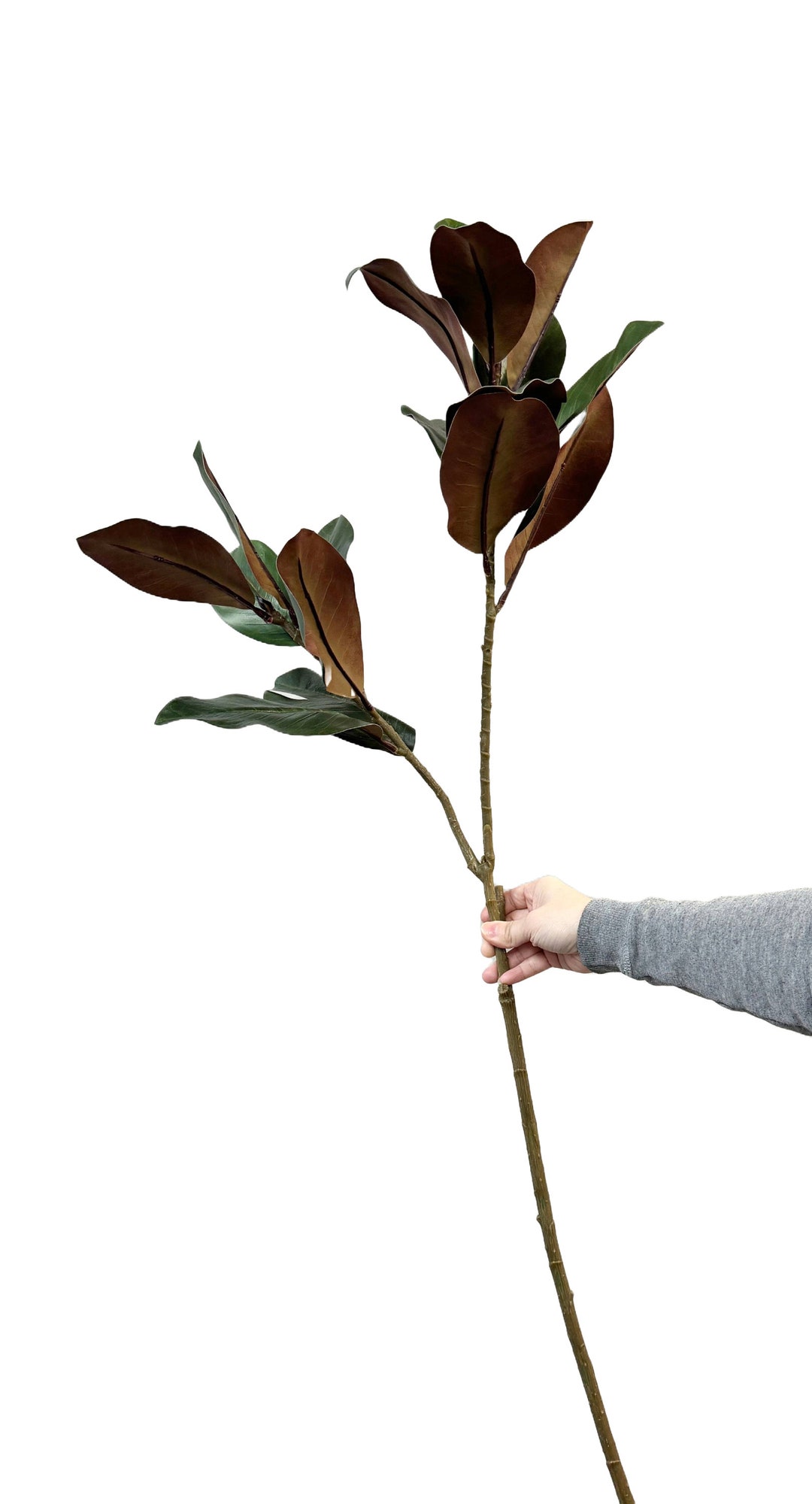 42 Elegant Magnolia Leaf Spray-17 Large Leaves - Etsy