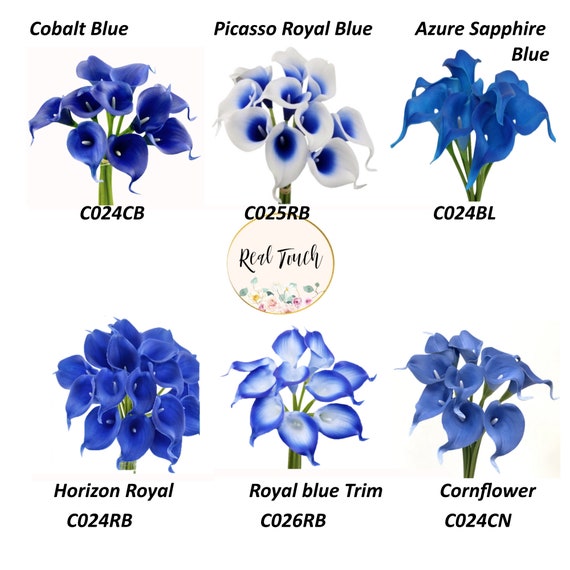 The Blue Color Lily