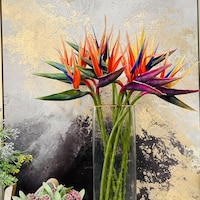 Real Touch Bird of Paradise Stem, Fake Silicone Strelitzia Long, 4pcs ...