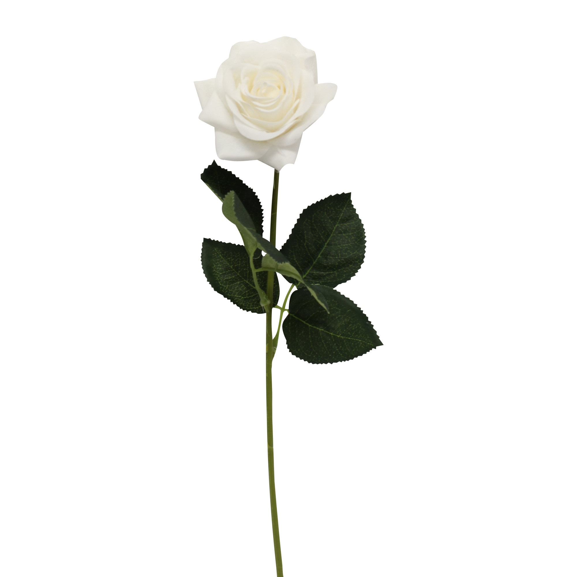 DOZEN Moisturized Coating Real Touch Rose Stems - 17 Inch- Floral ...
