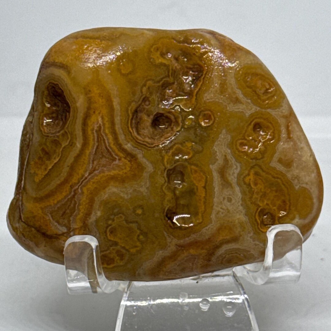 Golden Swirl Mississippi Agate | Unpolished Collector's Specimen - Etsy