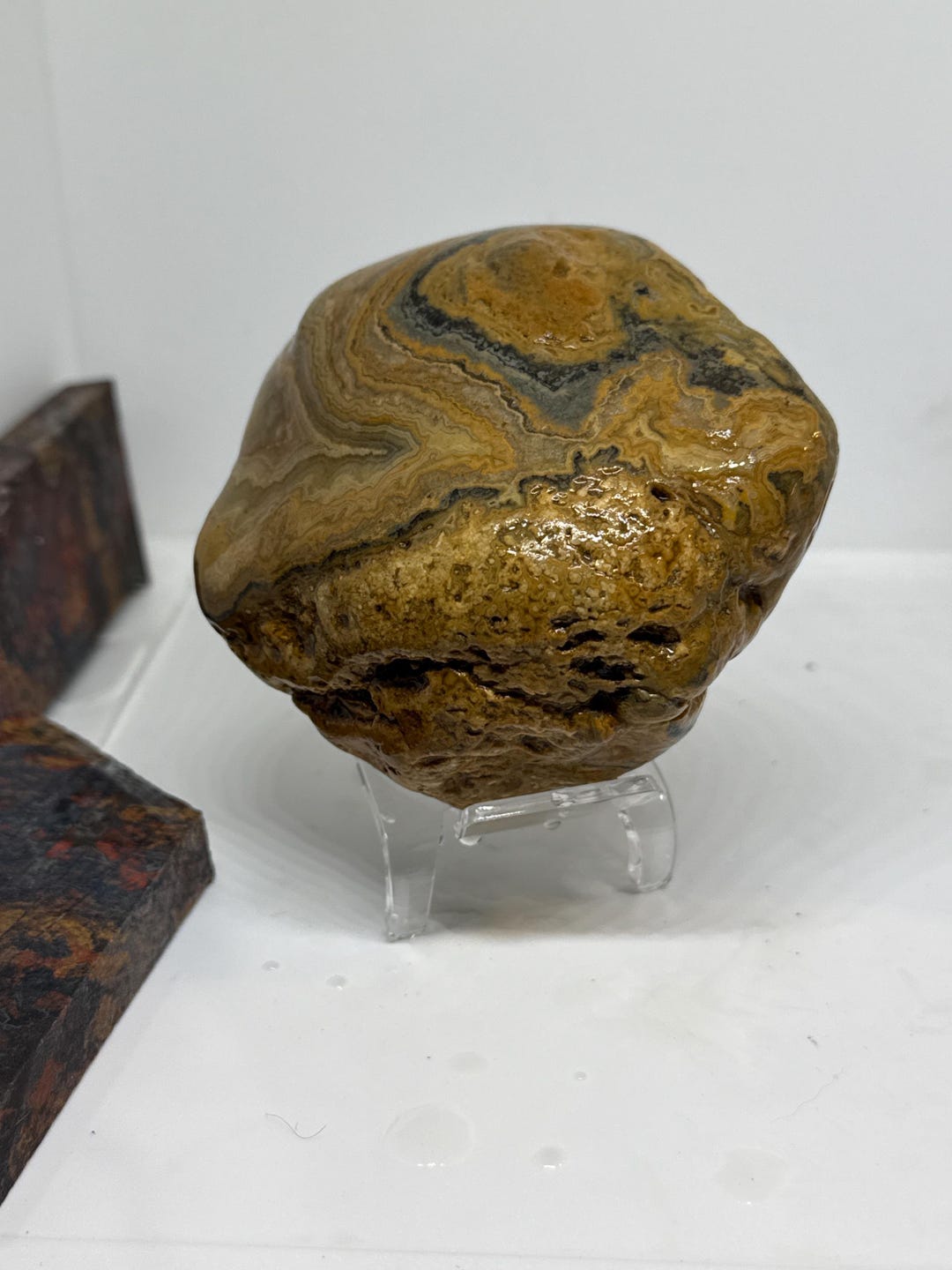 Earthline Giant Mississippi Agate | 1.1 Lb Raw Fossil-style Banded ...