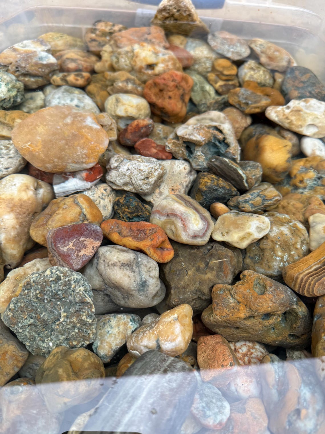 Rough Rock Mystery Bucket! Agates, MS Agates, LSA, Imperial Jasper ...