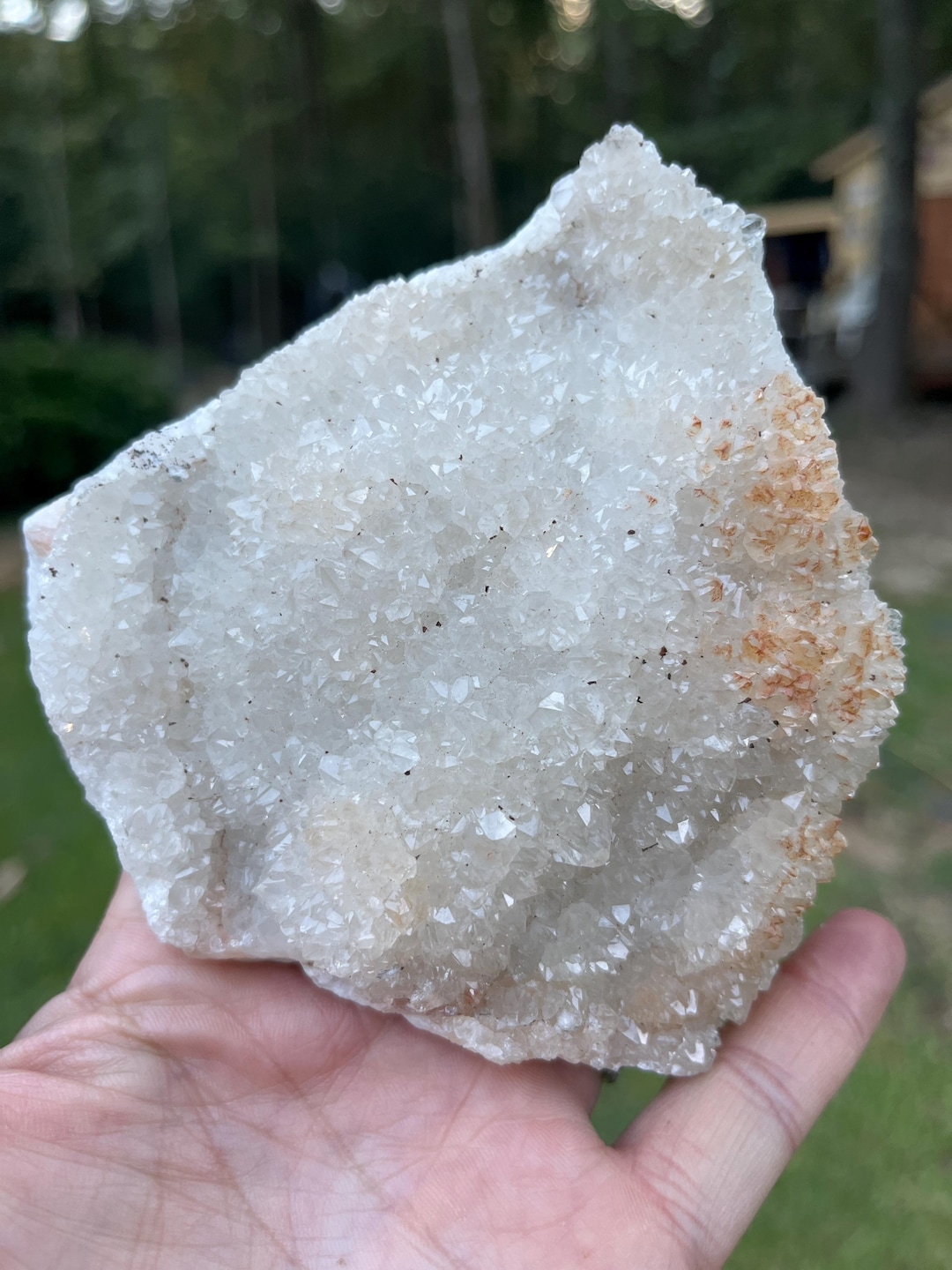 Missouri Druze Quartz on Agatized Coral Matrix - Etsy