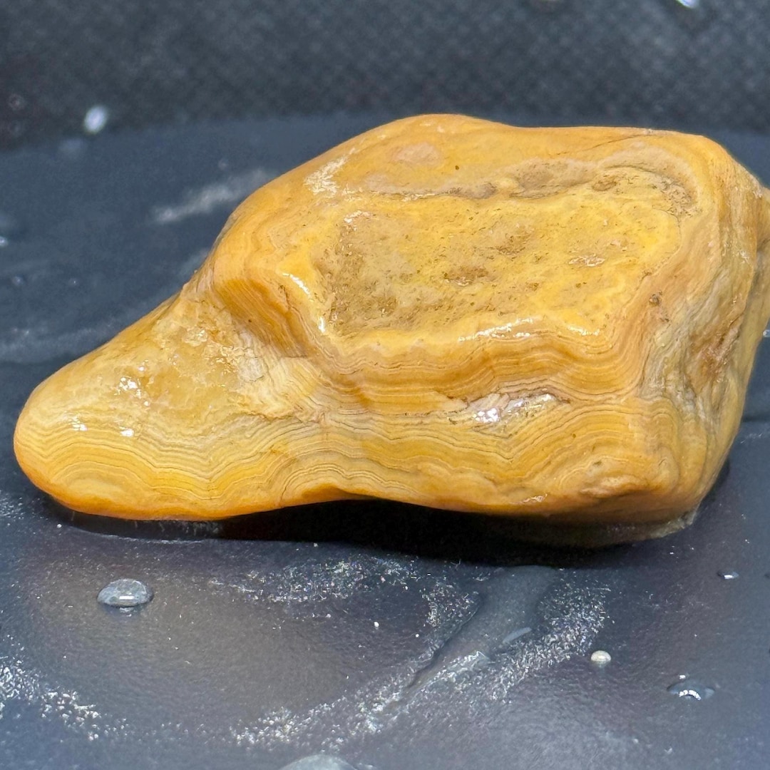 Amber Snarl - MS Agate - Etsy