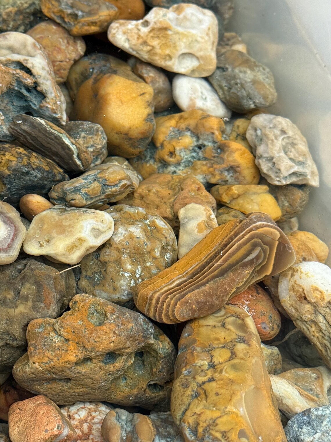 Rough Rock Mystery Bucket! Agates, MS Agates, LSA, Imperial Jasper ...