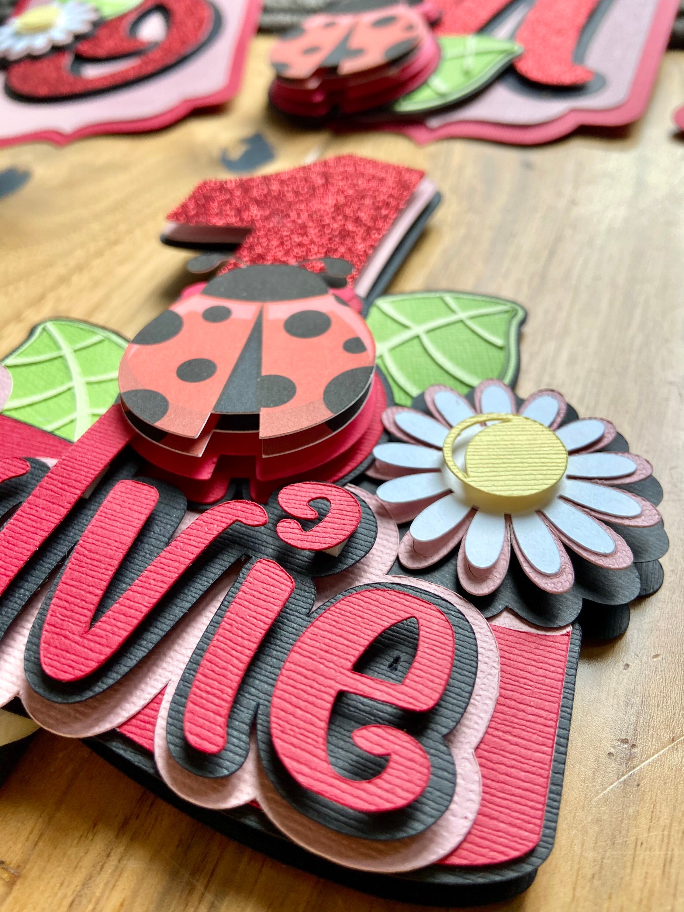 Ladybug Birthday Cake Topper, Custom Name & Age - Etsy