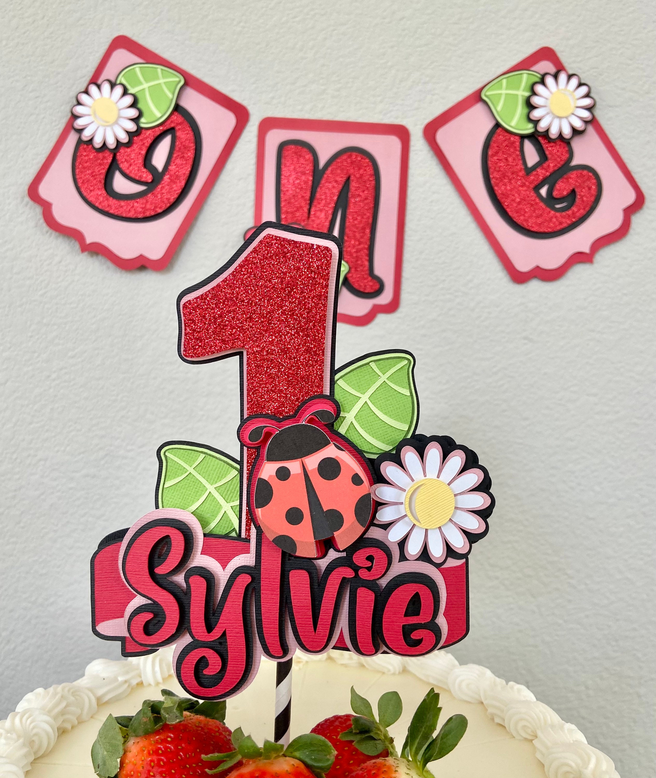 Ladybug Birthday Cake Topper, Custom Name & Age - Etsy